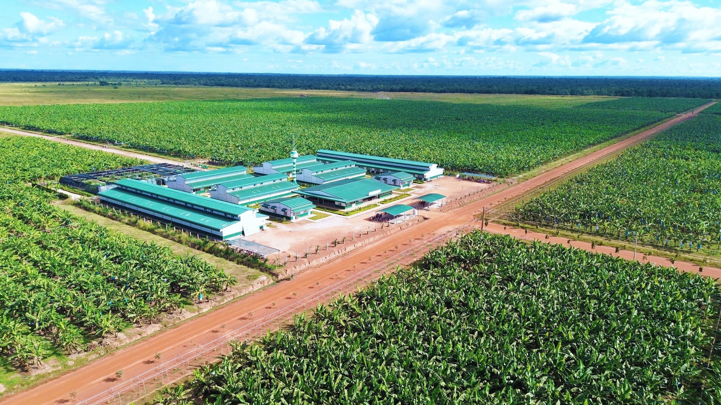 THACO AGRI - Khát vọng tái thiết xuyên biên giới | BÀI 2: Thế giới nông ...