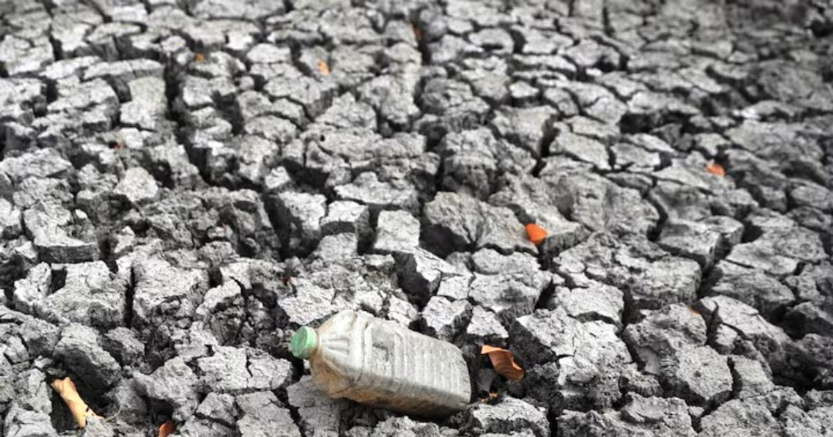 LHQ phát cảnh báo đỏ: El Nino sẽ đẩy giá lương thực tăng vọt
